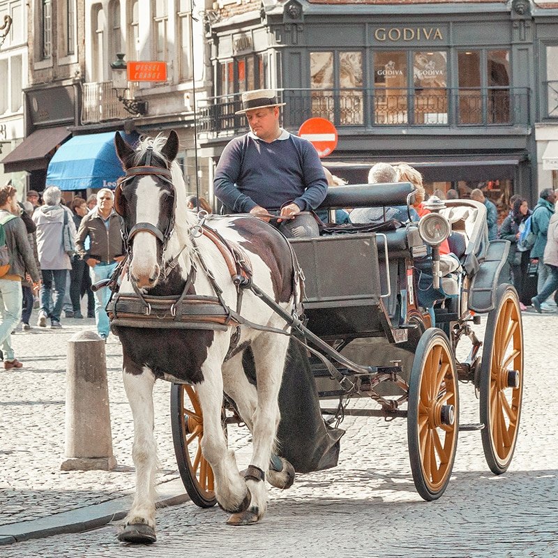 Focus Projects – FireBible