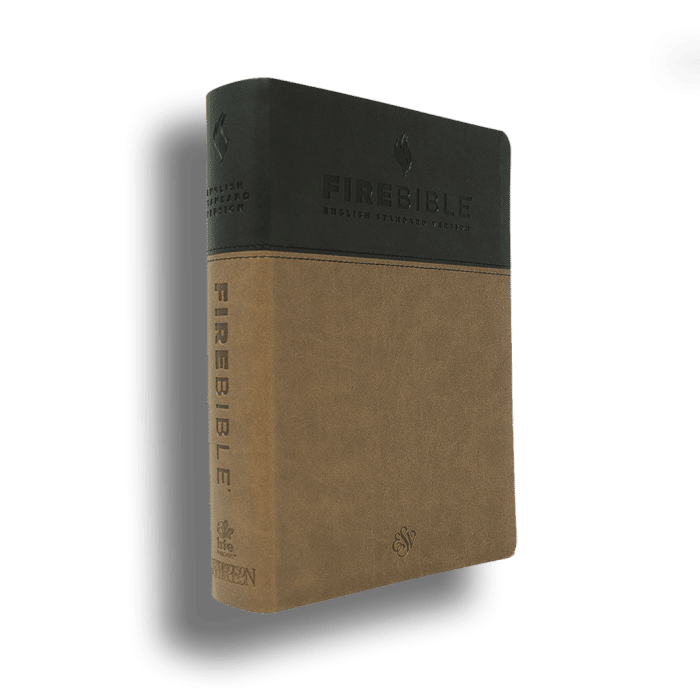 Bibles – FireBible