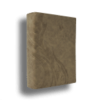 Bibles – FireBible